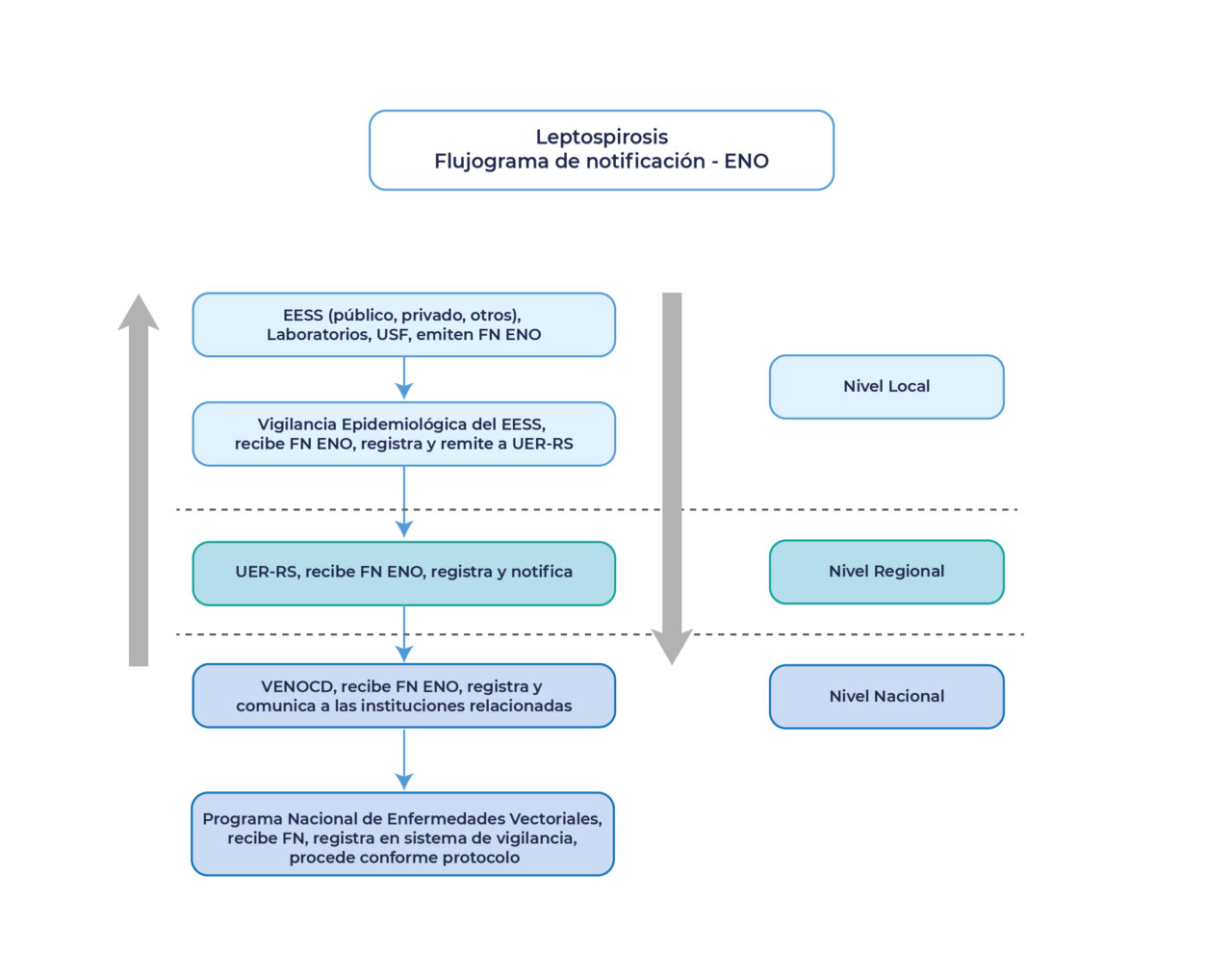 Leptospirosis - DGVS