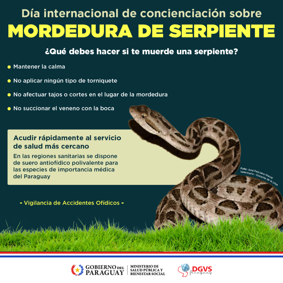 Día internacional de concienciación de la mordedura de serpiente - DGVS